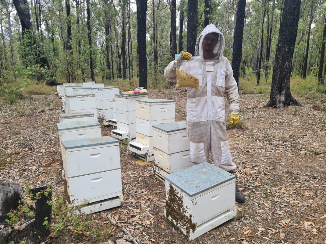 Pure And Natural Honey Co - Buy Perth Honey Online – Pure & Natural ...